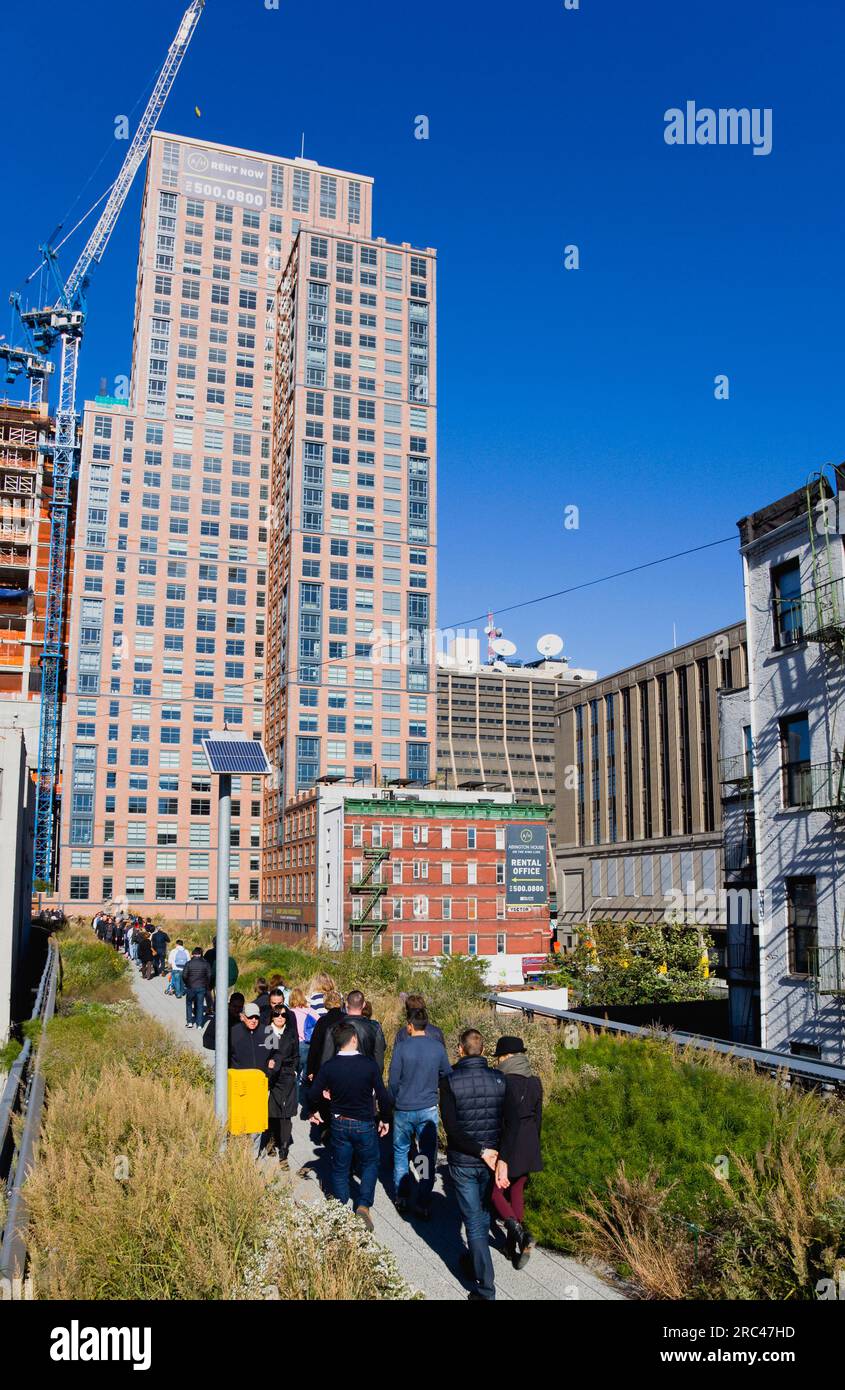 USA, New York, Manhattan, people walking through the Wildflower Field ...