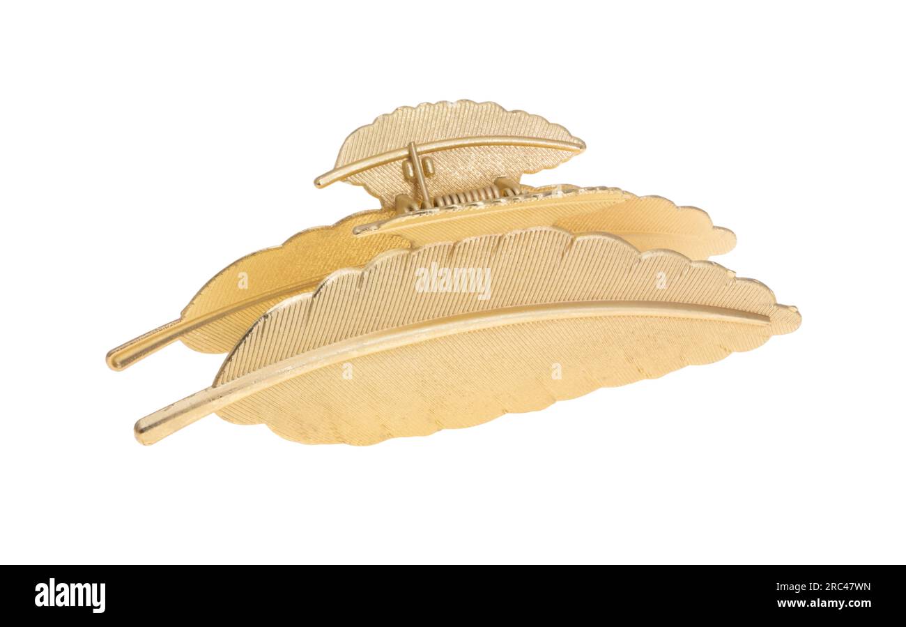 beautiful hair crab isolated on white background Stock Photo - Alamy