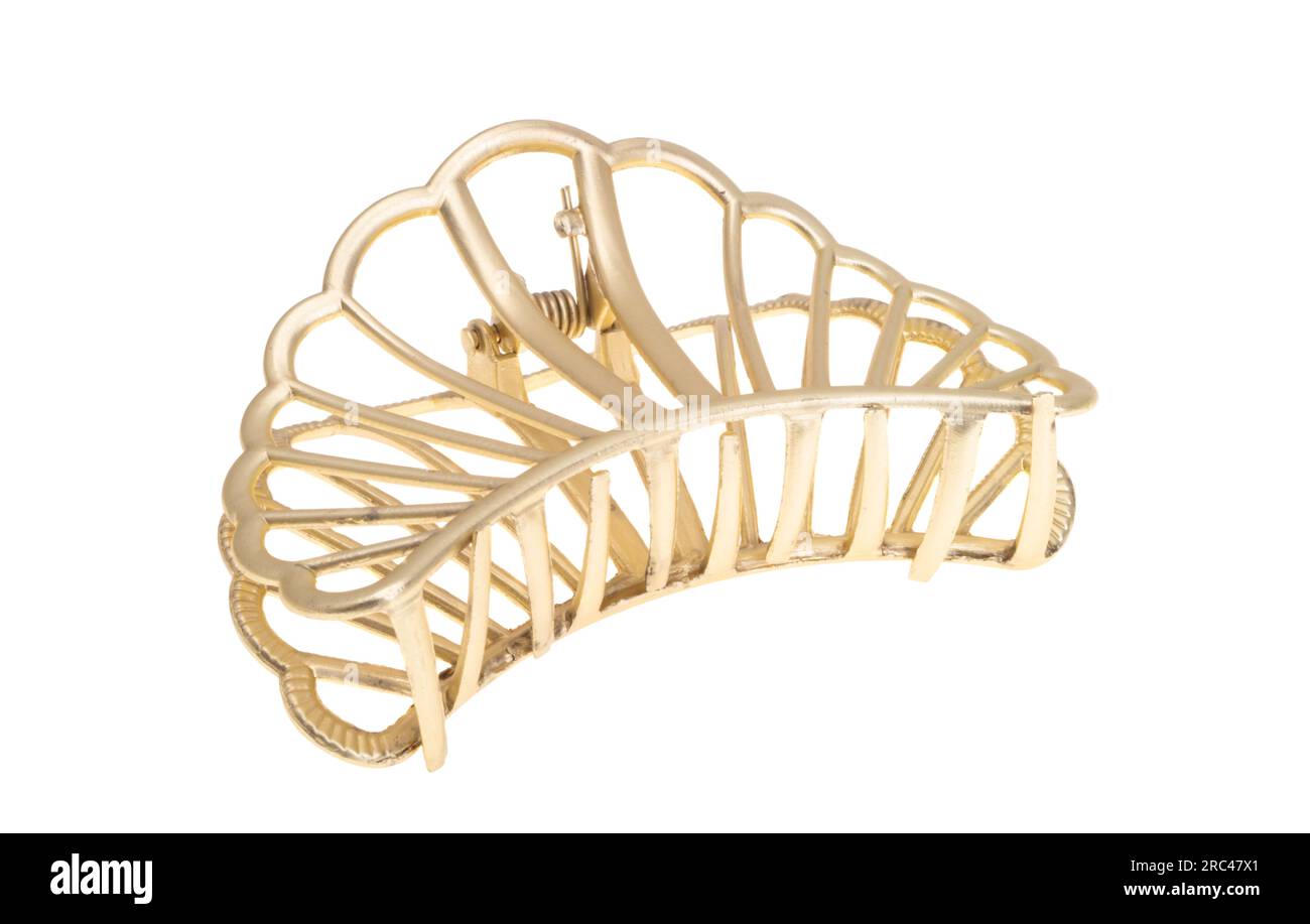 beautiful hair crab isolated on white background Stock Photo - Alamy