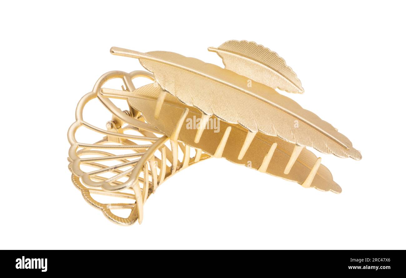 beautiful hair crab isolated on white background Stock Photo - Alamy