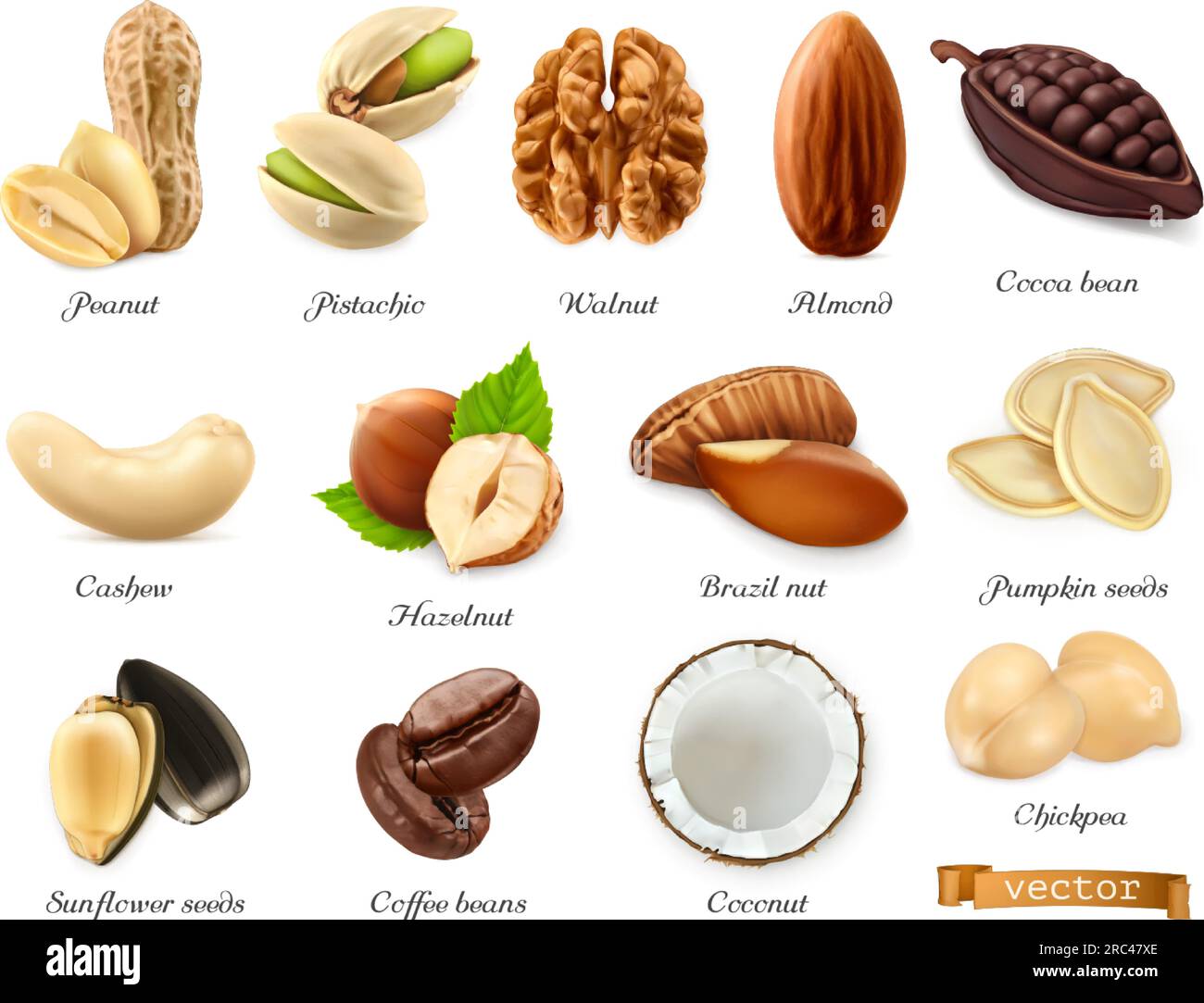 Walnut ripe Stock Vector Images - Alamy
