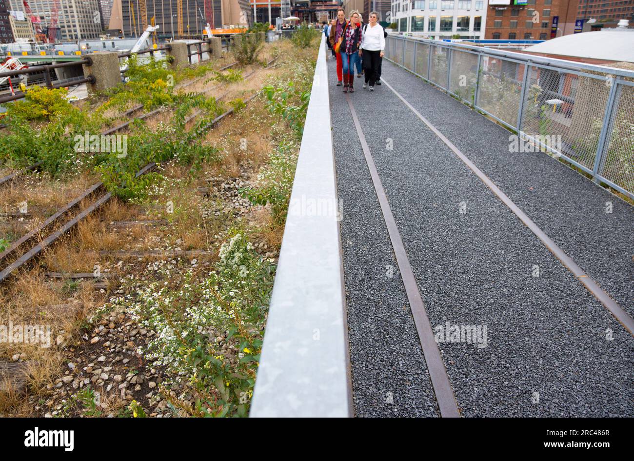 USA, New York, Manhattan, wild plant area and original rails of the ...