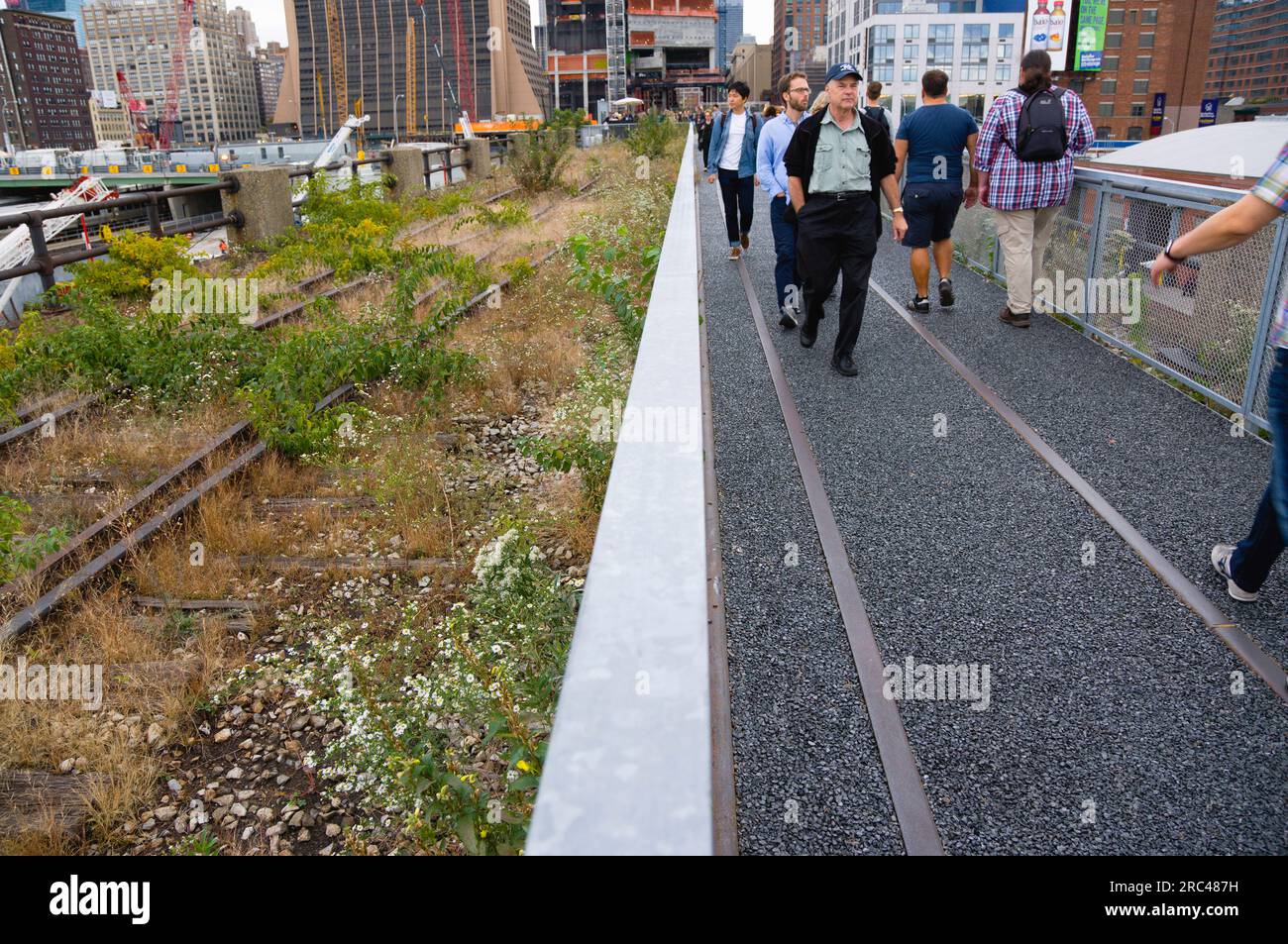 USA, New York, Manhattan, wild plant area and original rails of the ...