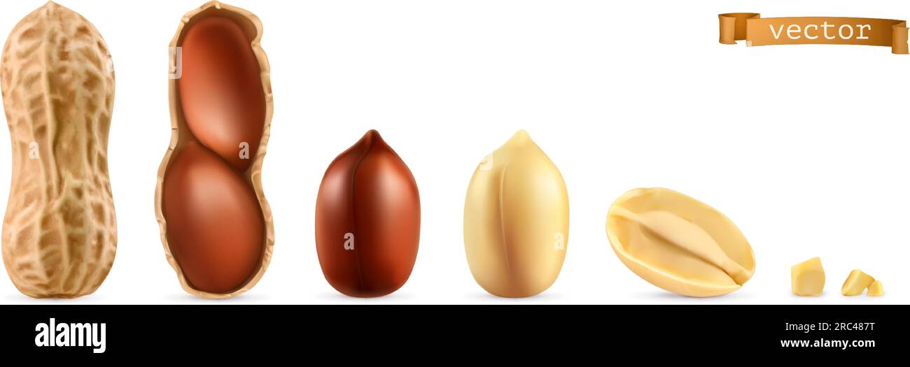 Peanut whole Stock Vector Images - Alamy