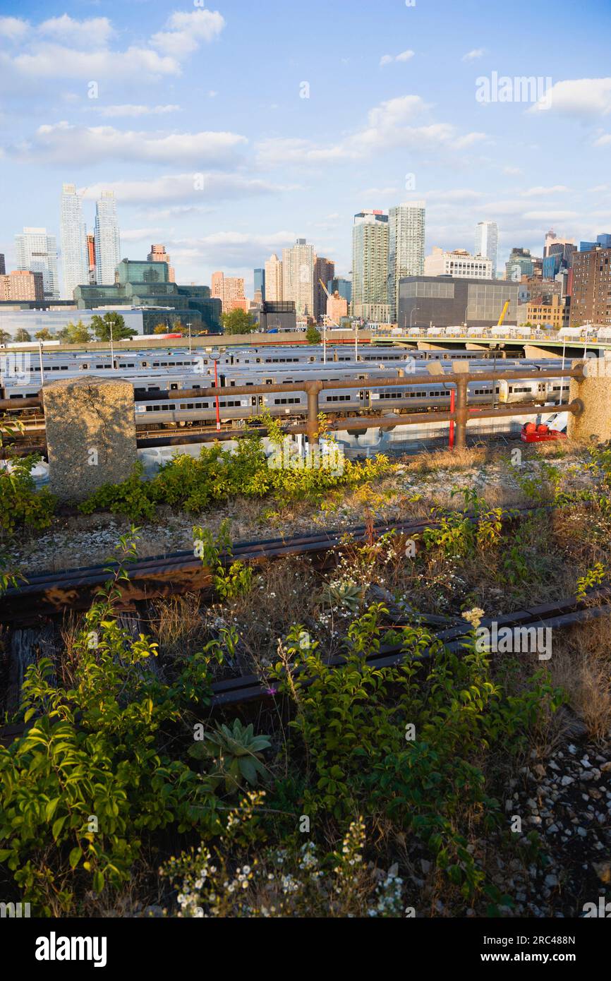USA, New York, Manhattan, wild plant area and original rails of the ...