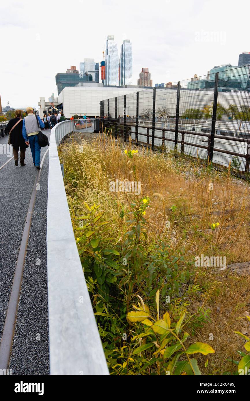 USA, New York, Manhattan, wild plant area and original rails of the ...