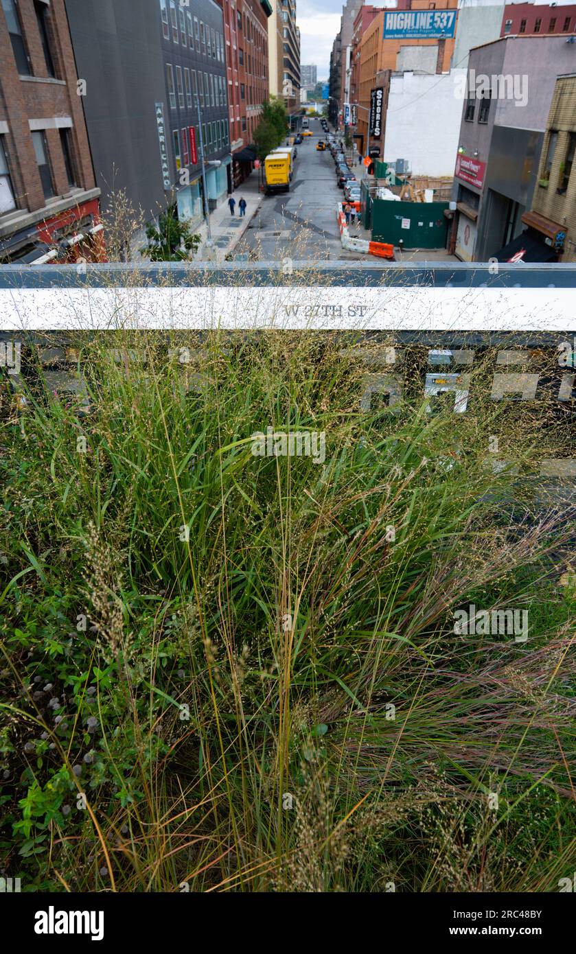 USA, New York, Manhattan, the Wildflower Field on the High Line linear ...