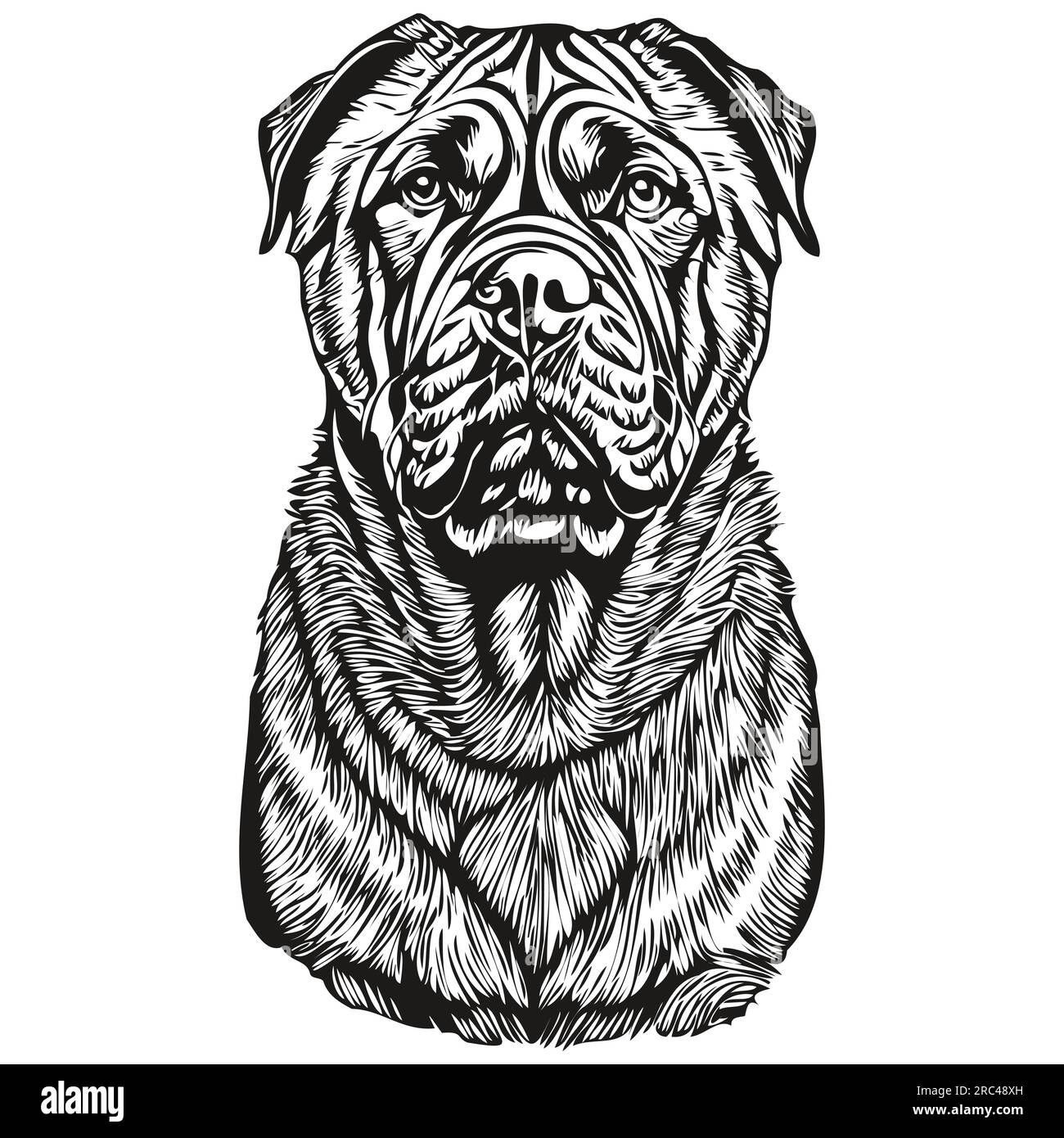 Bullmastiff dog hand drawn logo drawing black and white line art pets ...