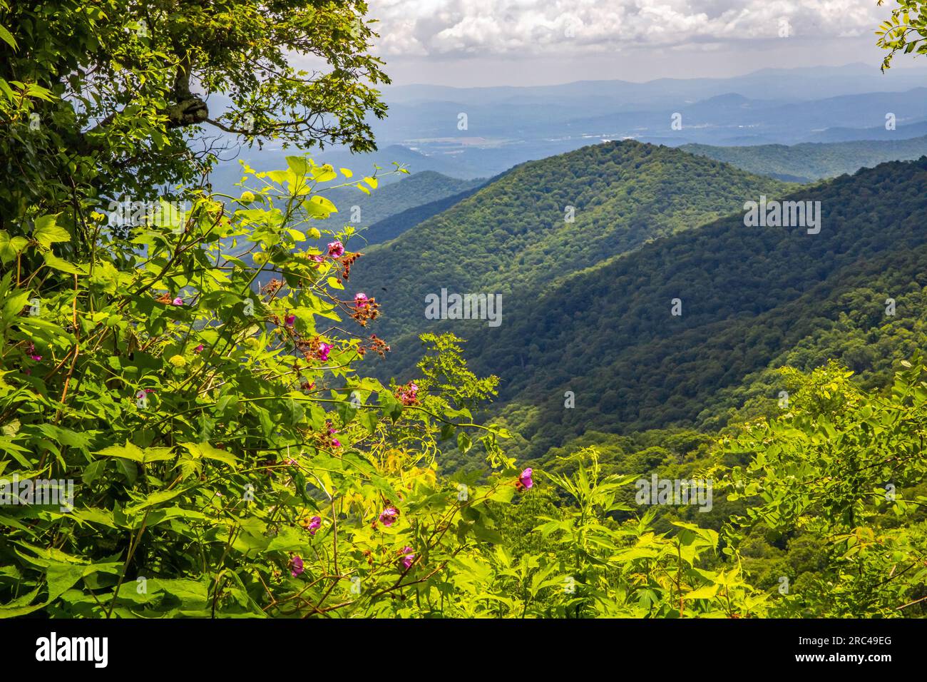 Bright sunshine illuminates a Blue Ridge Mountain panorama with ...