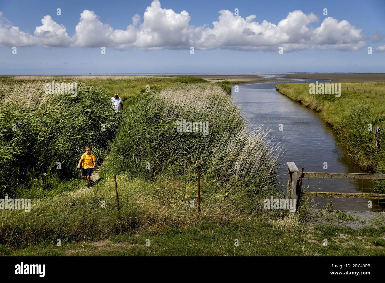 SINT JACOBIPAROCHIE - A salt marsh area for birds in the Wadden area ...