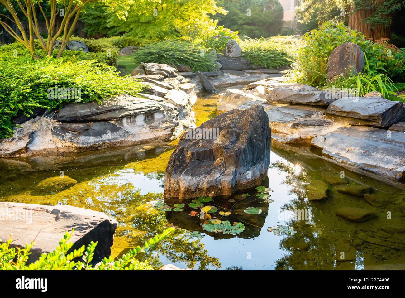 Dark pond hi-res stock photography and images - Alamy