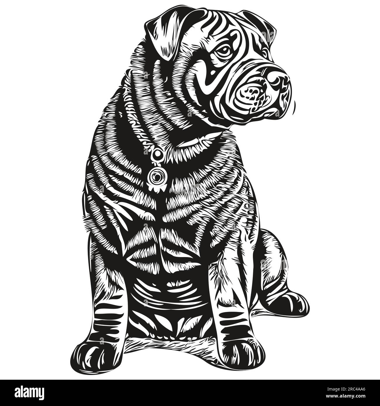 Pencil shar Stock Vector Images - Alamy