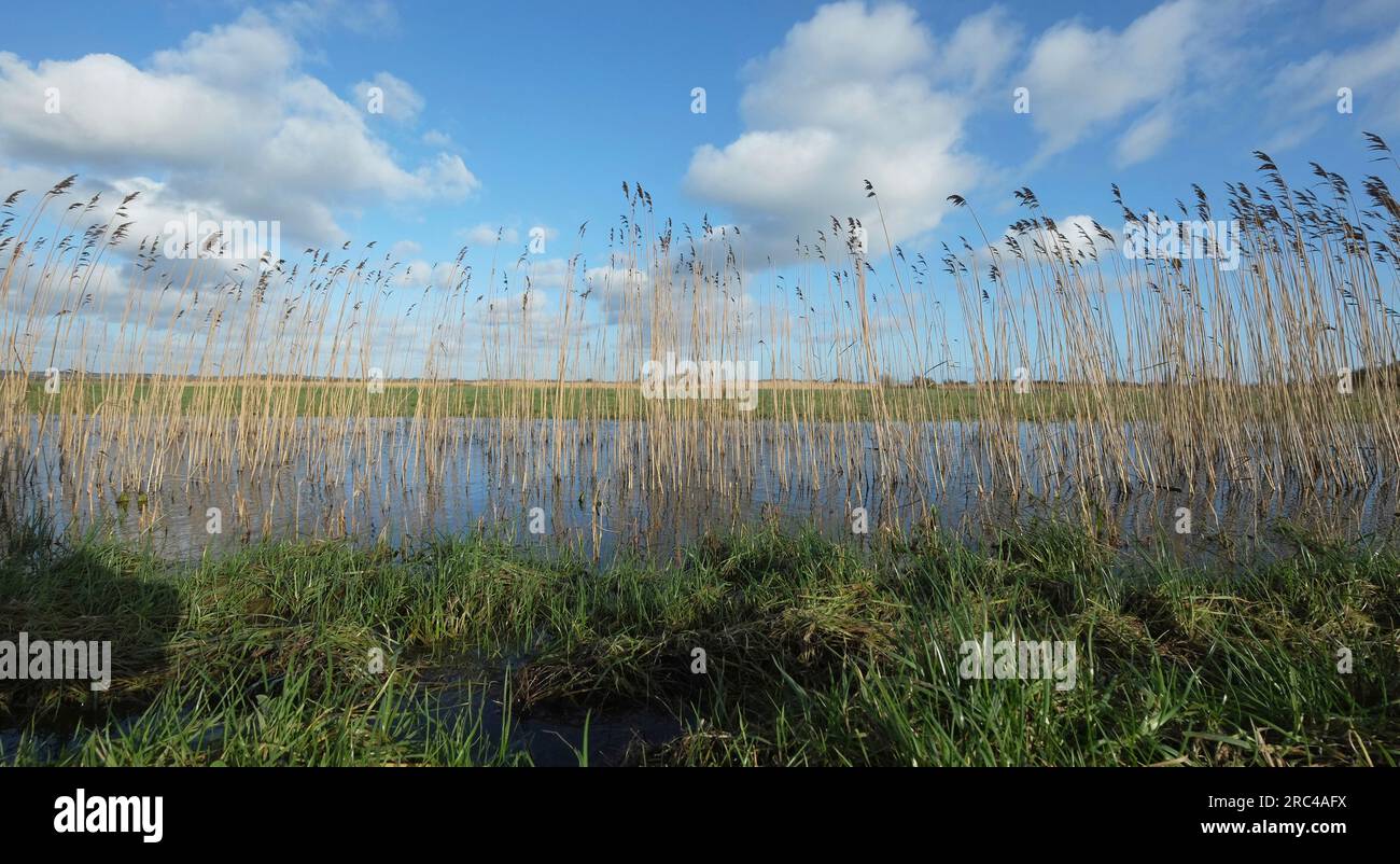 Pevensey levels hi-res stock photography and images - Alamy