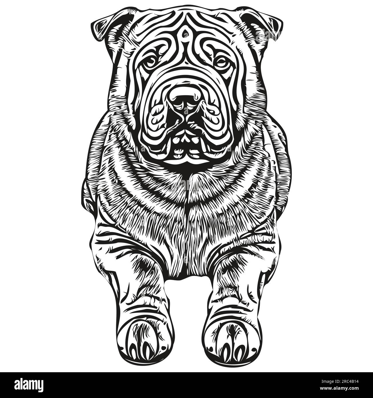 Pencil shar Stock Vector Images - Alamy