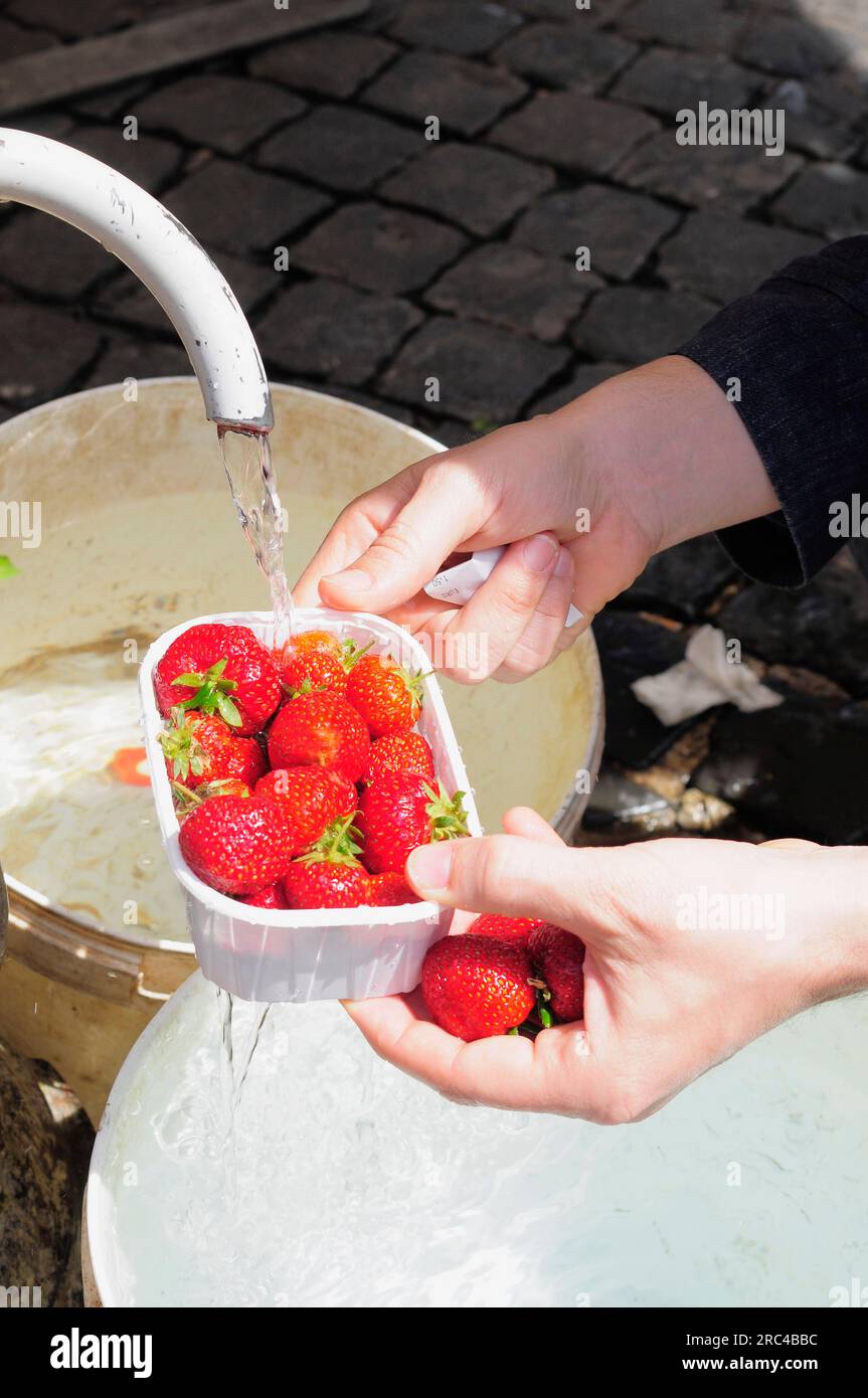 Italy, Lazio, Rome, Centro Storico, Campo dei Fiori, washing ...