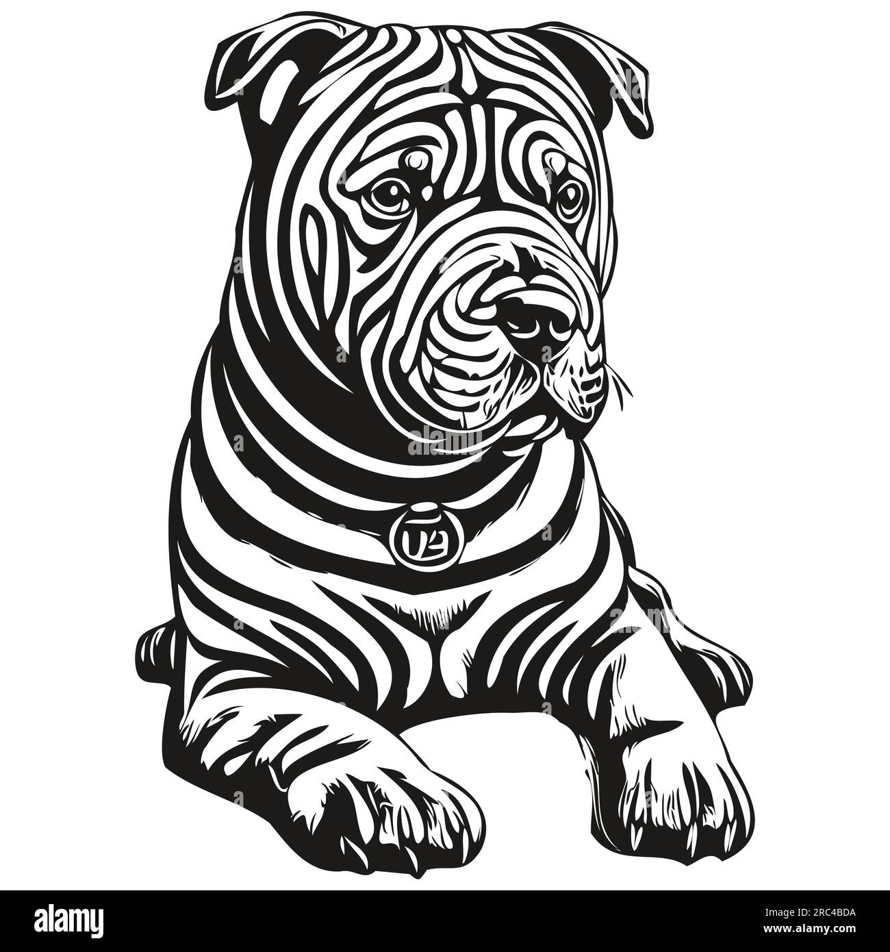 How To Draw A Realistic Dog Face