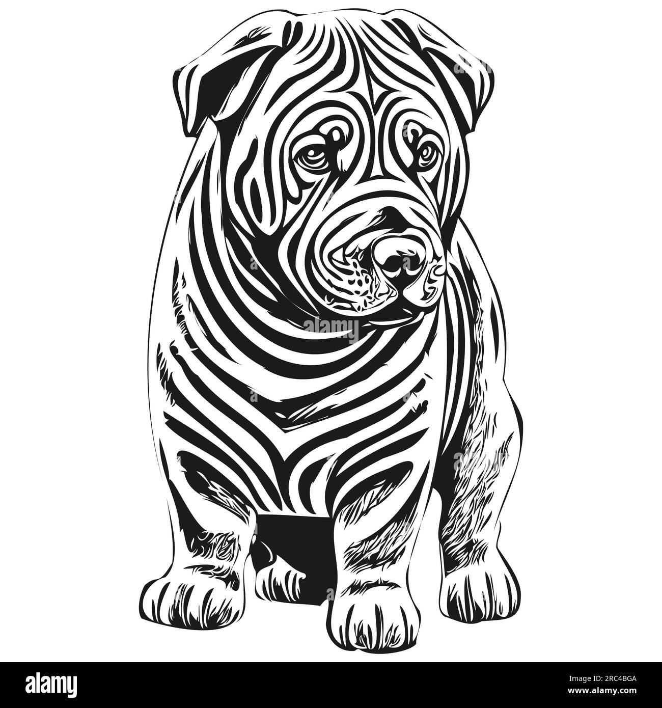Chinese Shar Pei dog vector face drawing portrait, sketch vintage style ...