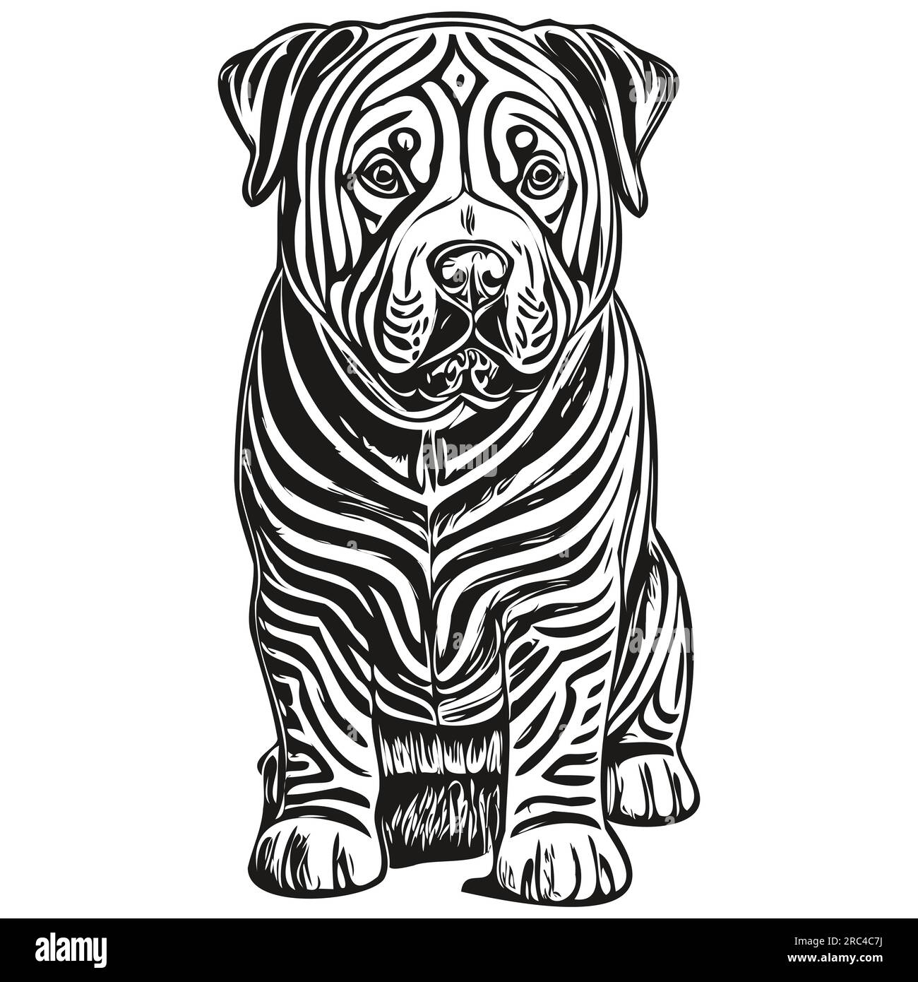 Shar pei Stock Vector Images - Alamy