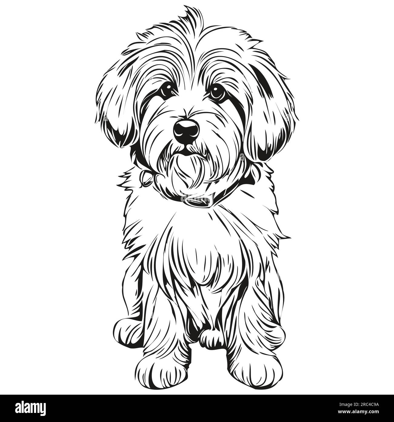 Coton shirt hi-res stock photography and images - Alamy