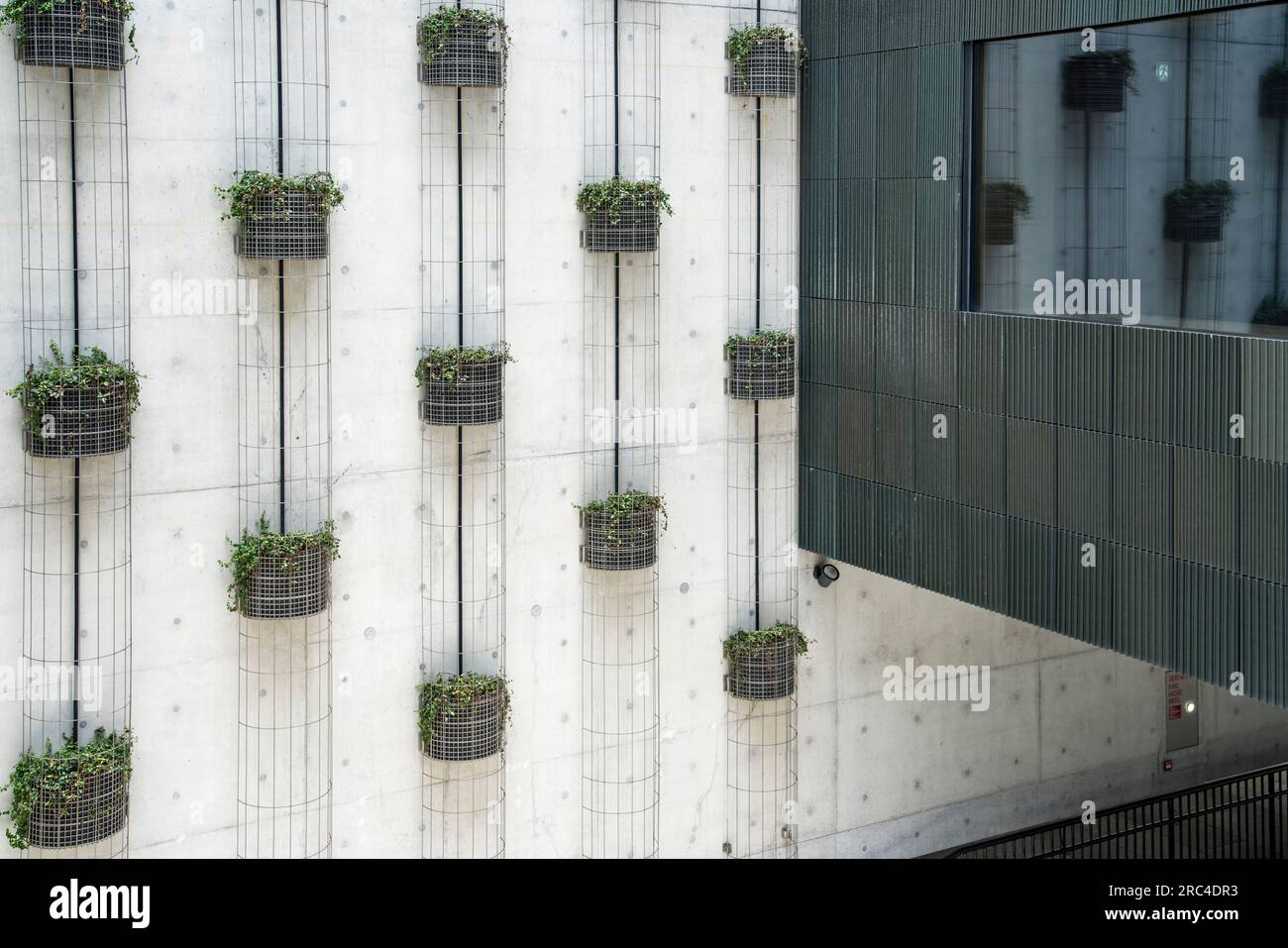 Architectural plant facade design for modern museums Stock Photo - Alamy