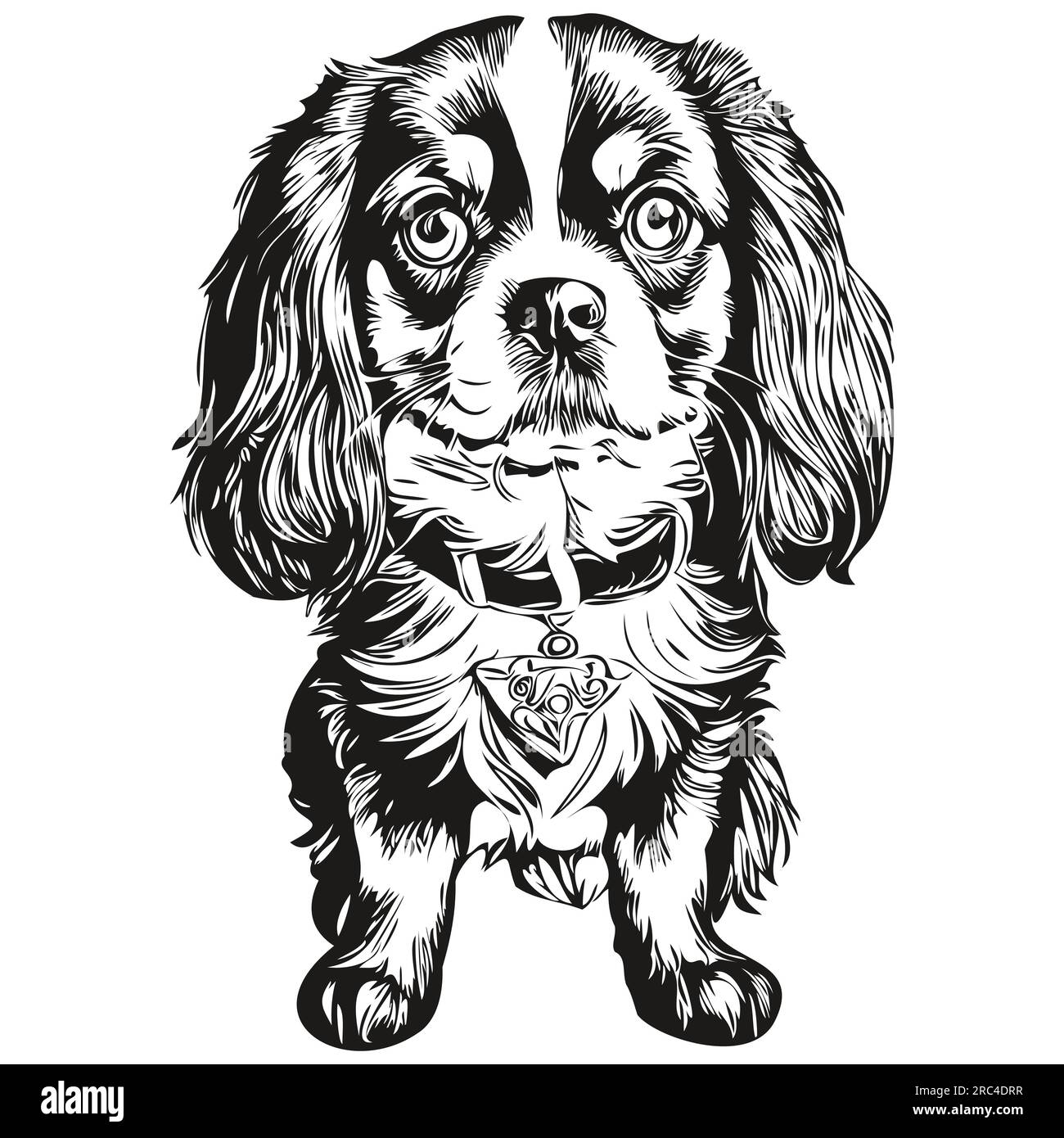 Pet spaniel Stock Vector Images - Alamy