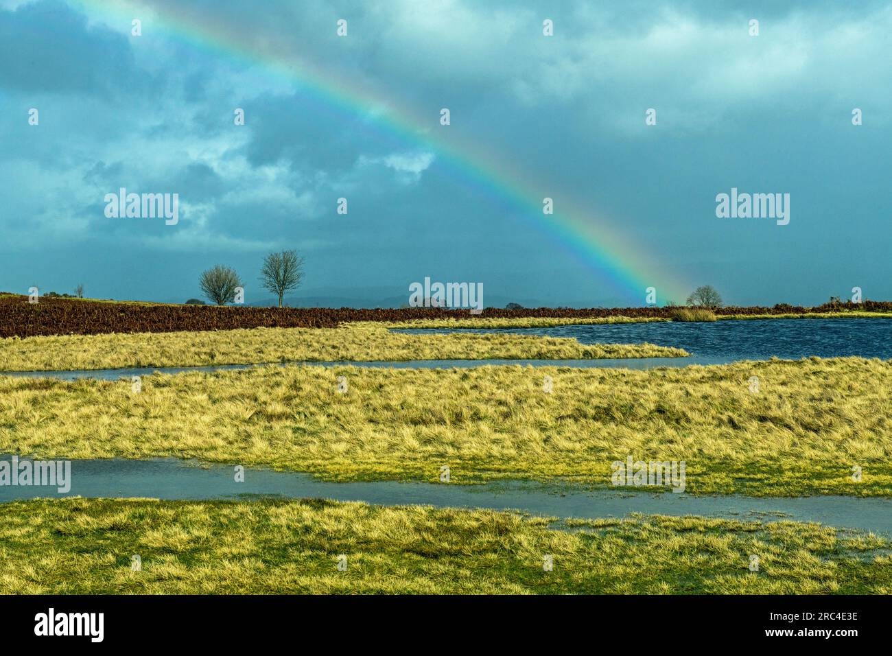 Half rainbow hi-res stock photography and images - Alamy