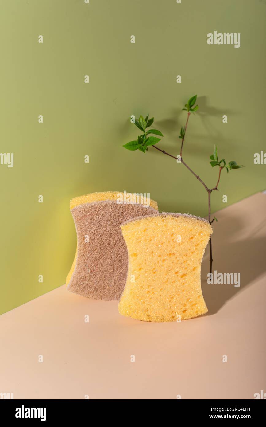 Eco cleaning with sponges, sustainable concept Stock Photo - Alamy