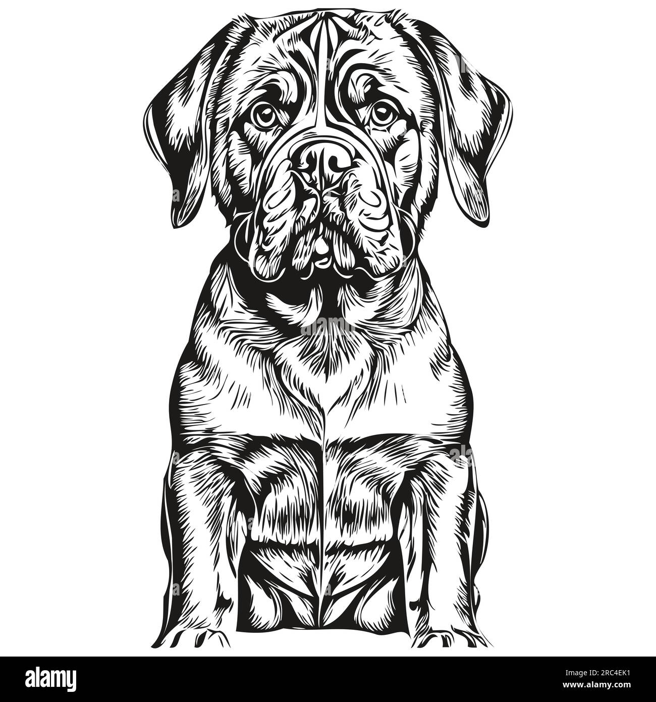 Bordeaux black Stock Vector Images - Alamy