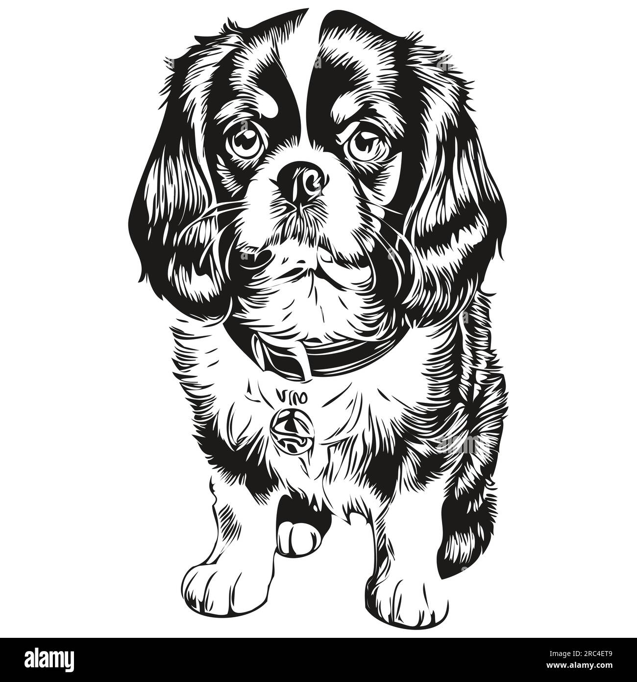English Toy Spaniel dog vector face drawing portrait, sketch vintage ...