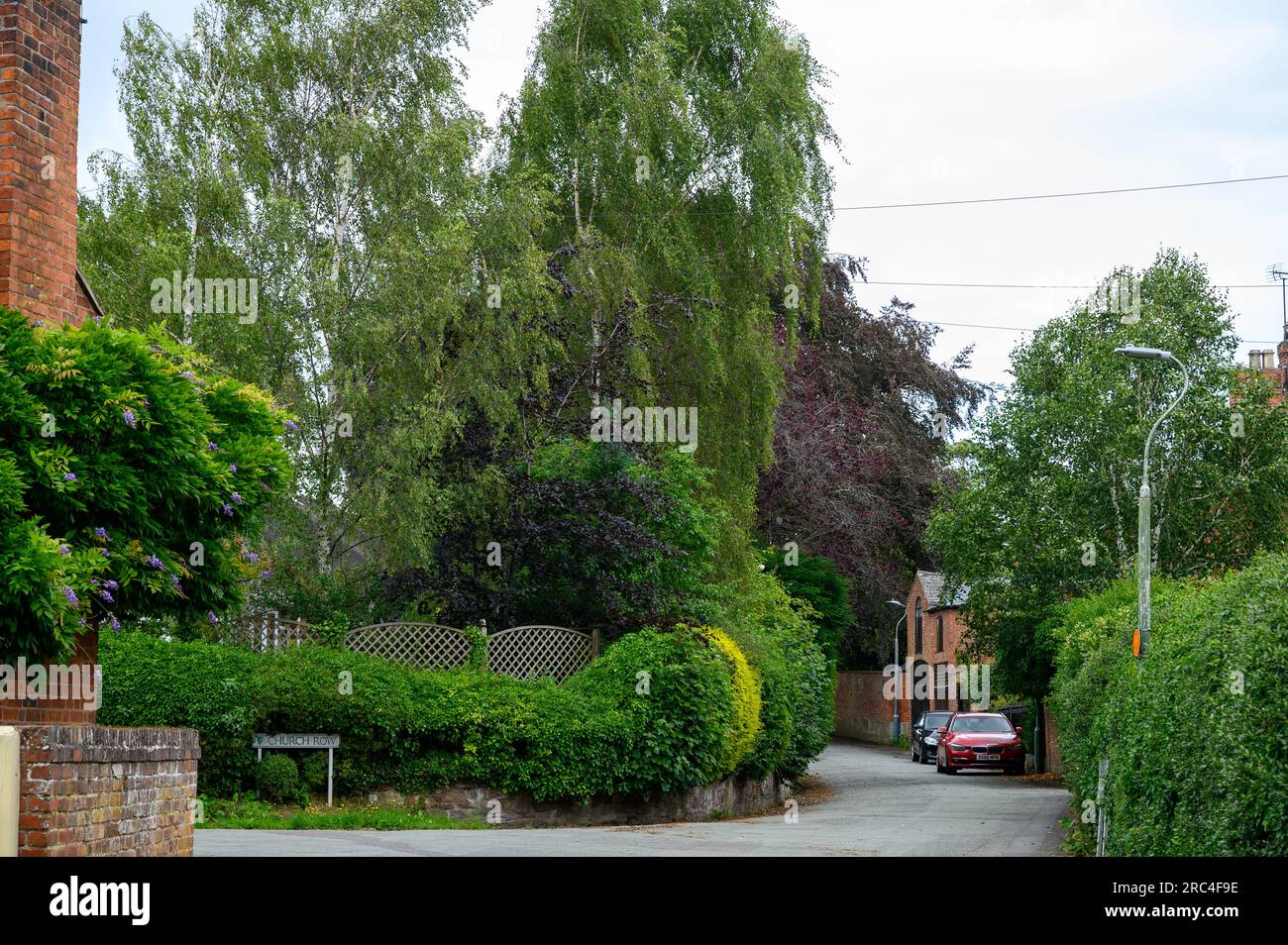 Mature trees on an urban street Stock Photo - Alamy