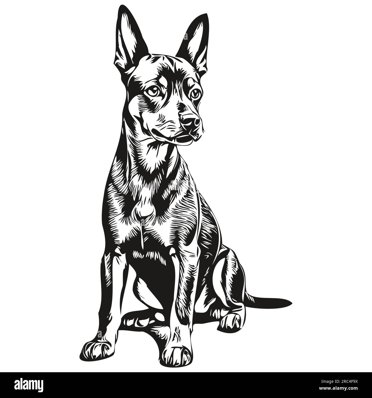 German engraving Stock Vector Images - Alamy