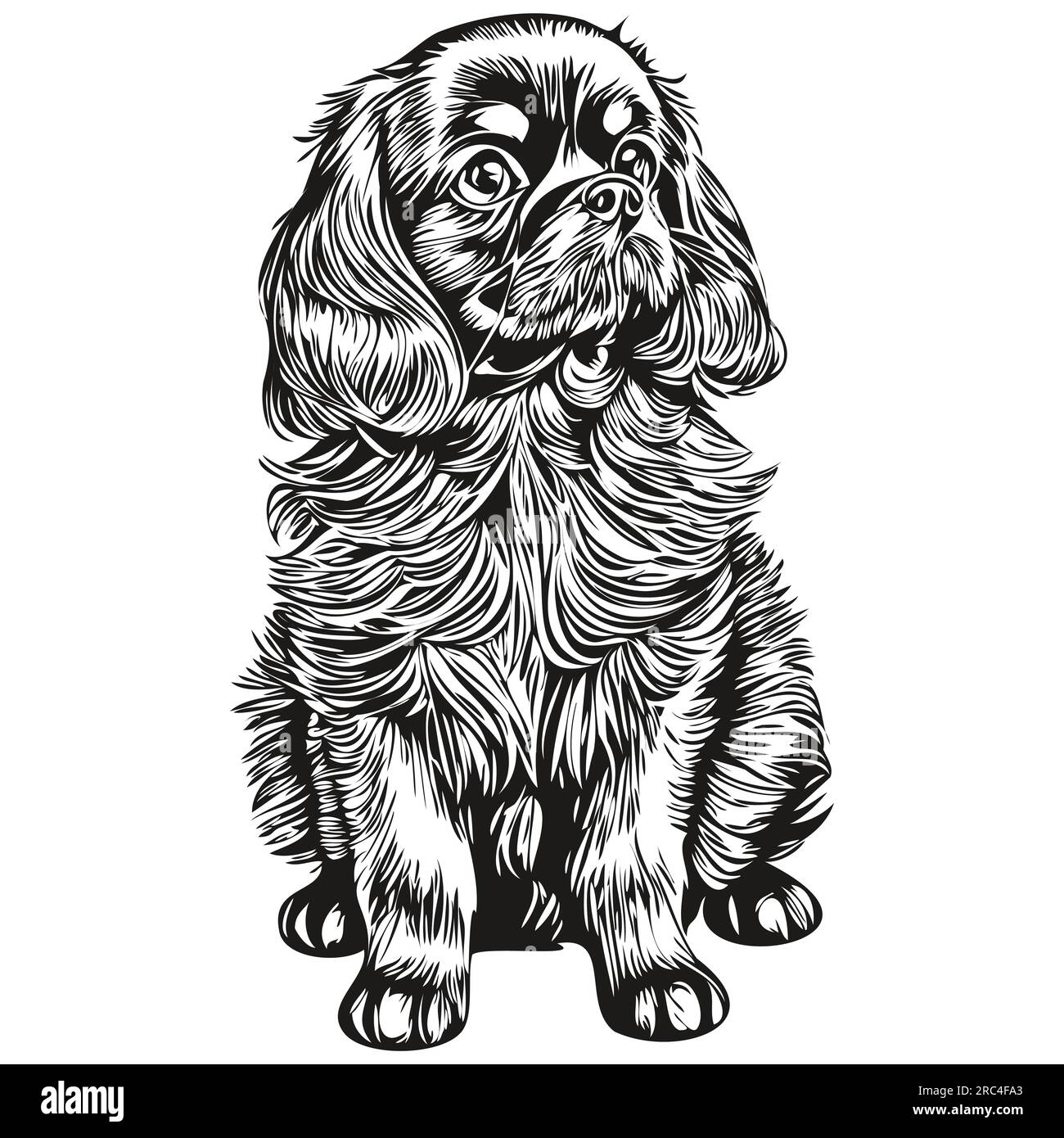 English Toy Spaniel dog vector face drawing portrait, sketch vintage ...