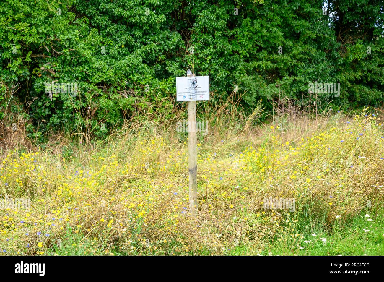 Small untidy area set aside on a playing field for nature with sign ...