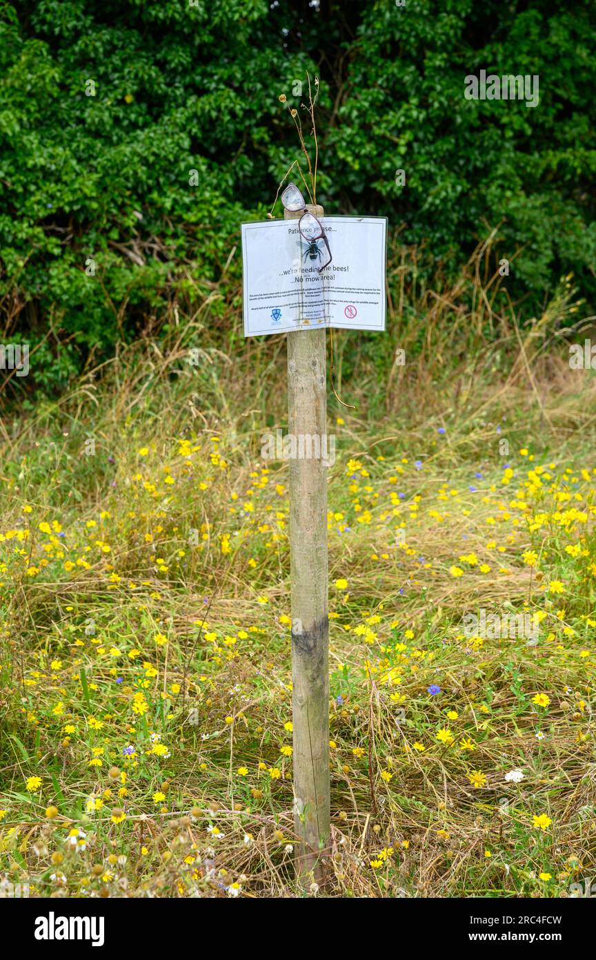 Small untidy area set aside on a playing field for nature with sign ...
