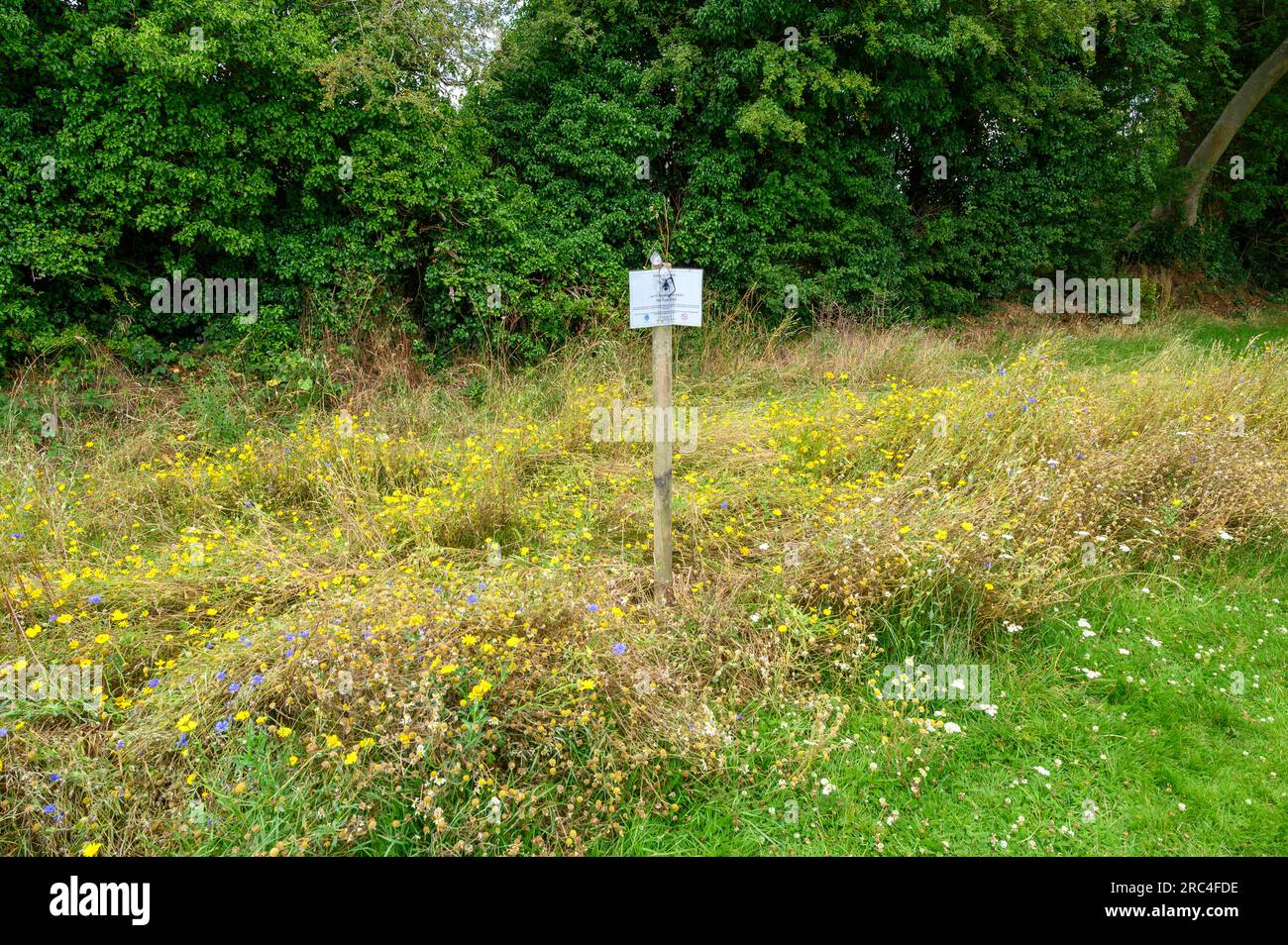 Dont mow let it grow sign hi-res stock photography and images - Alamy