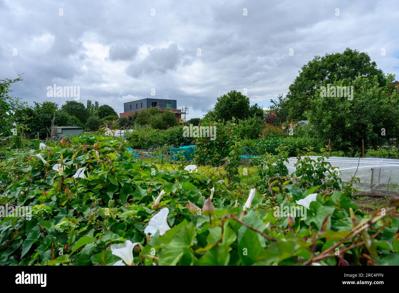 Building beside green spaces hi-res stock photography and images - Alamy