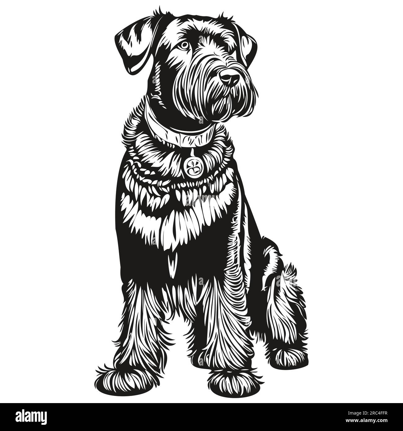 Giant Schnauzer dog vector graphics, hand drawn pencil animal line ...
