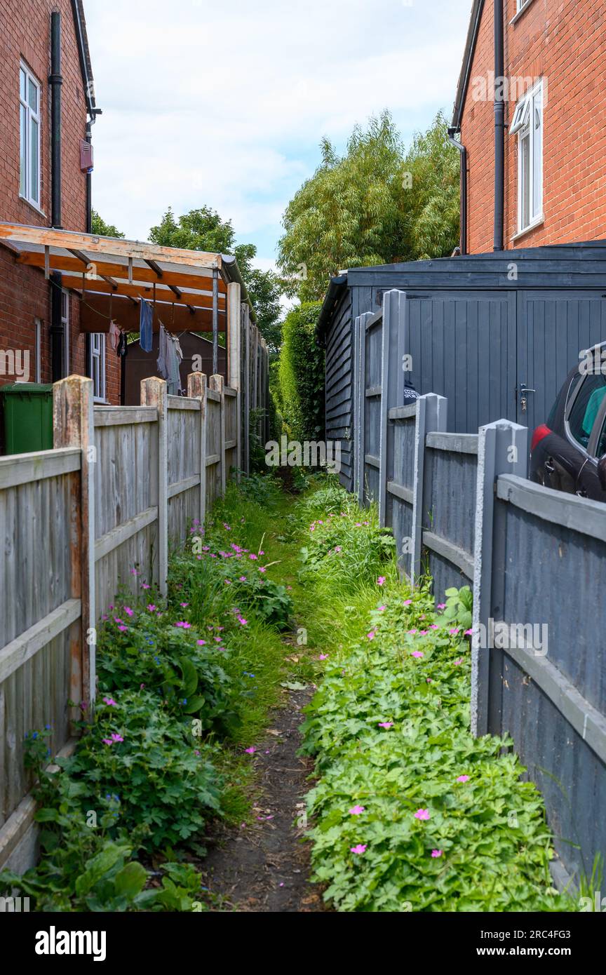 Pathside scenery hi-res stock photography and images - Alamy