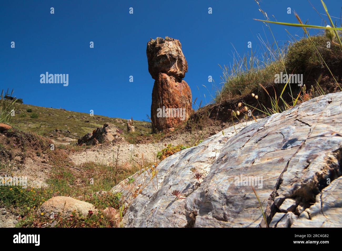 Lesvos petrified forest hi-res stock photography and images - Alamy