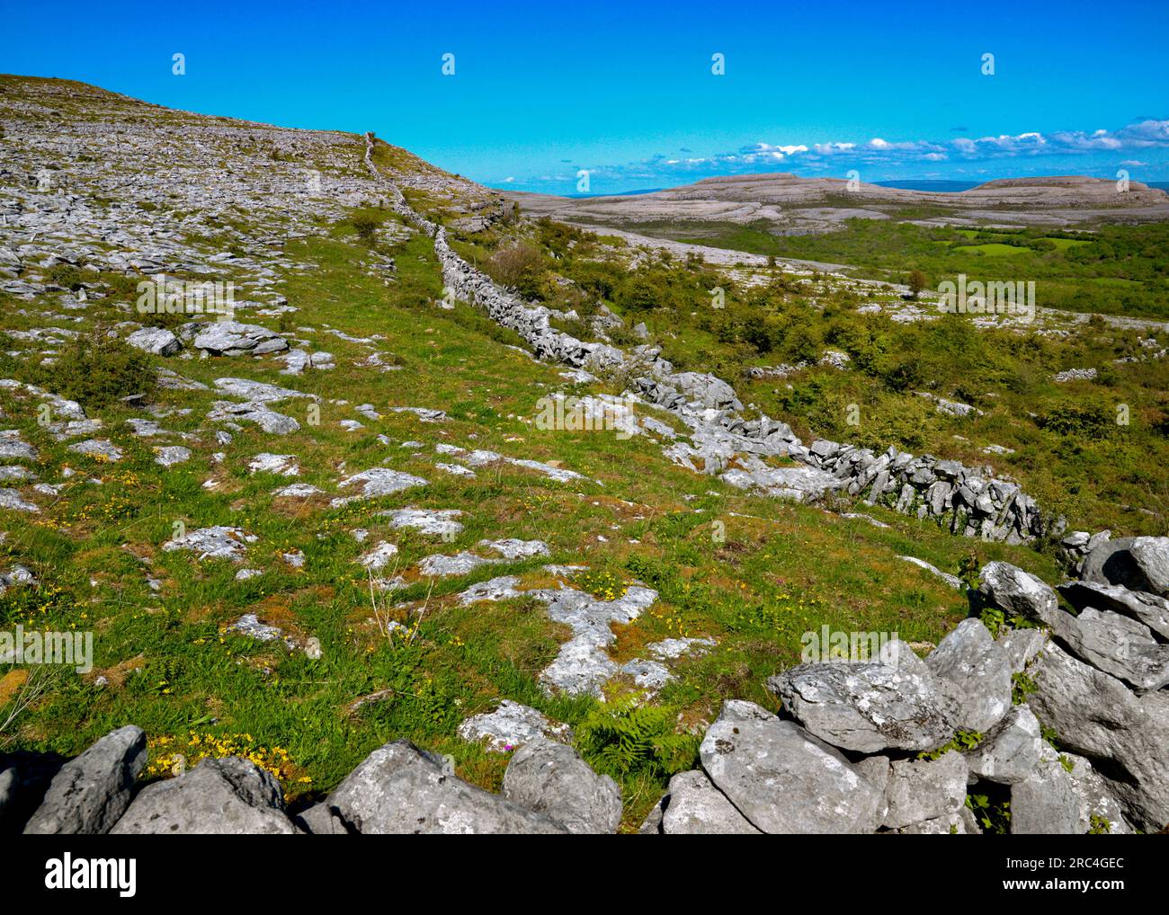 Dry stone wall on the Burren looking towards Mullaghmore, County Clare ...