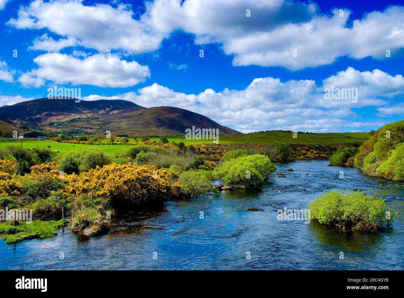 River Caragh, Ring of Kerry, County Kerry, Ireland Stock Photo - Alamy