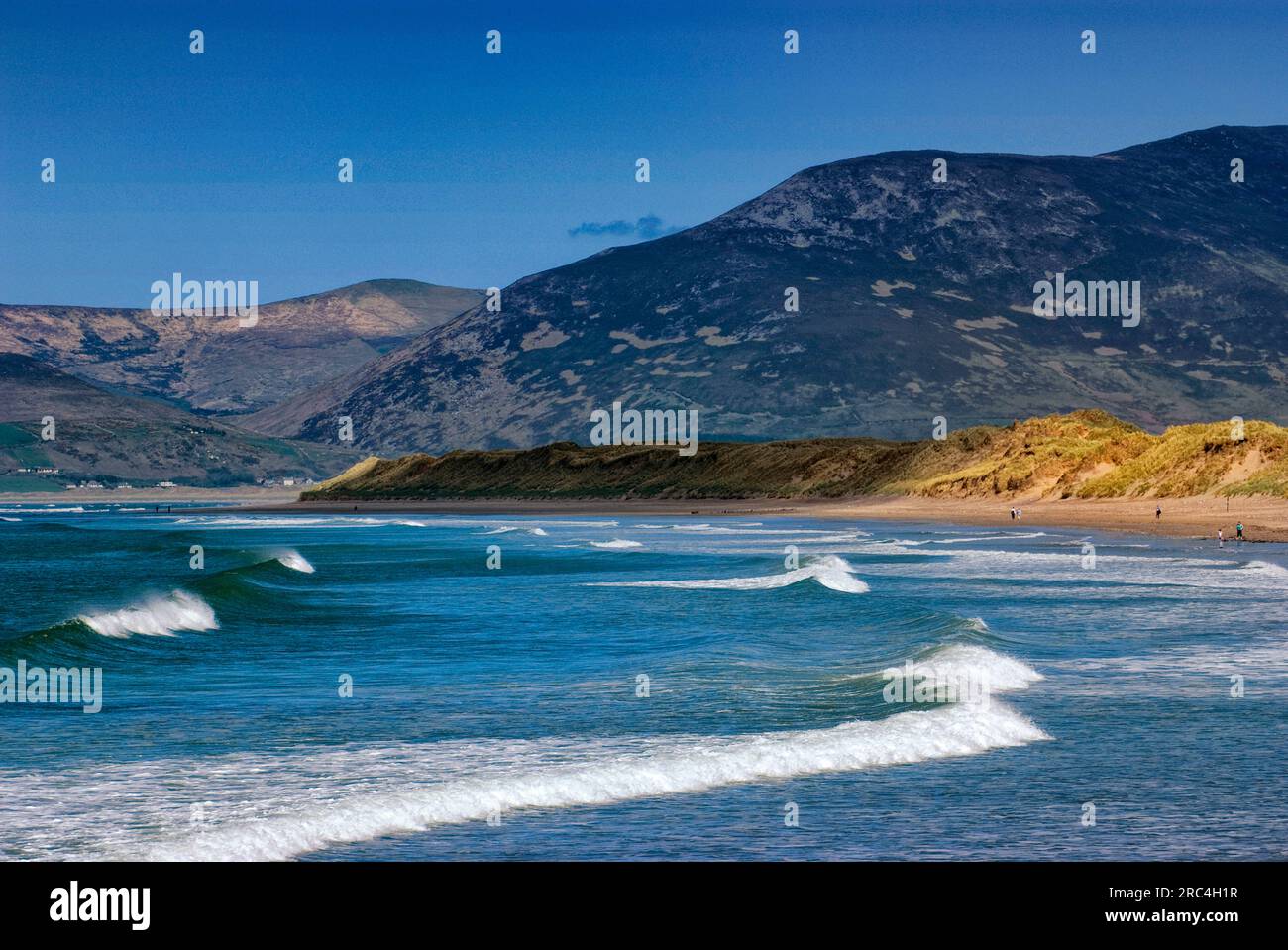 Rossbeigh Bay, Dingle Bay, Ring of Kerry, County Kerry, Ireland Stock ...