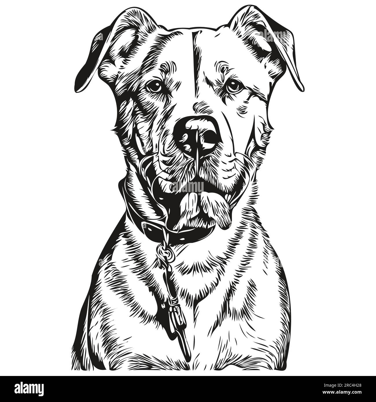 Dogo argentino Stock Vector Images - Alamy