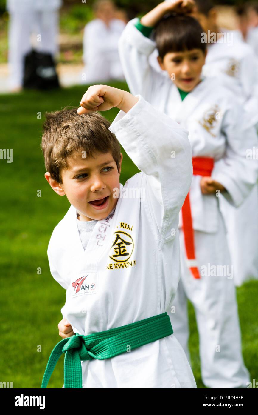 Tae Kwon Do Stock Photo - Alamy
