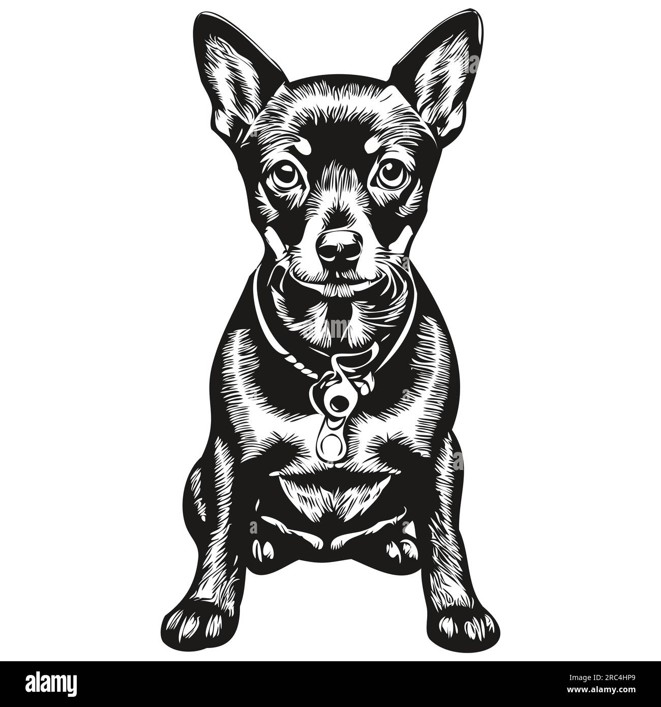 German Pinscher Good Bad