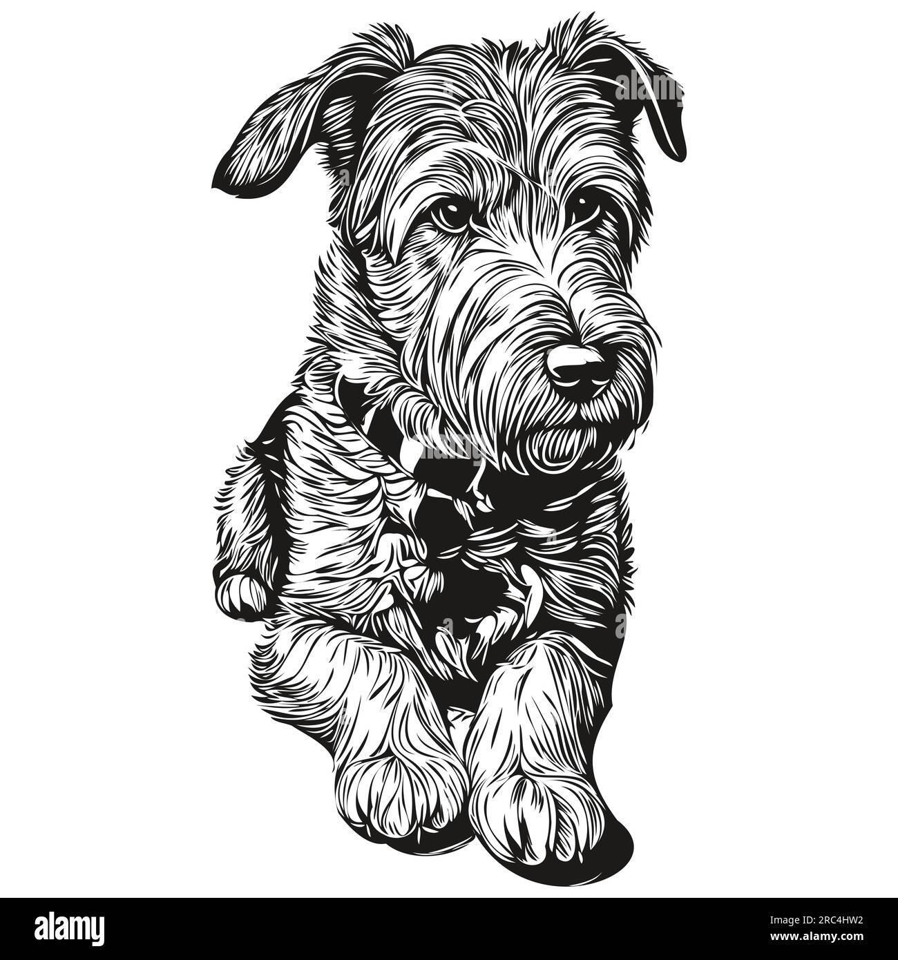 Terrier lakeland Stock Vector Images - Alamy