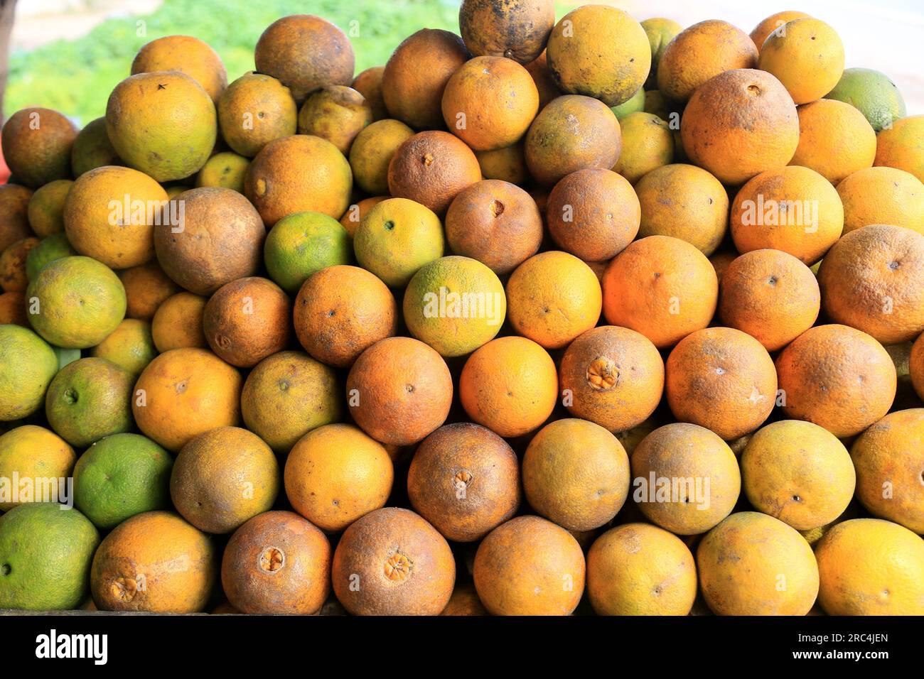 Cruz br hi-res stock photography and images - Alamy