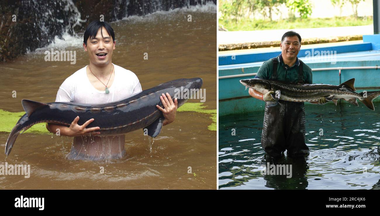 Institutional photographs hi-res stock photography and images - Alamy