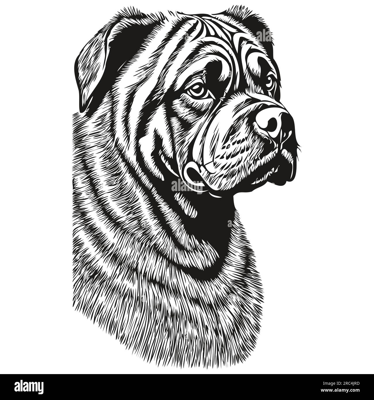 Neapolitan painting Cut Out Stock Images & Pictures - Alamy