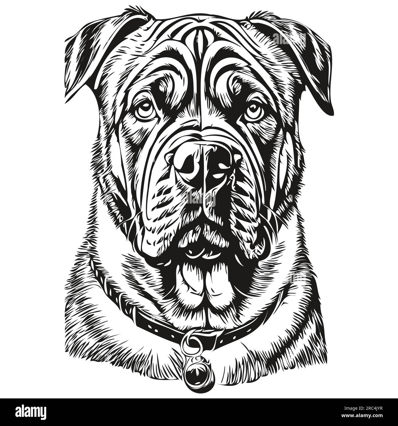 Neapolitan painting Cut Out Stock Images & Pictures - Alamy